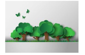 Printeos – Graphic Arts Printers